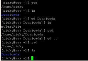 Navigating Linux using command line instructions from the terminal